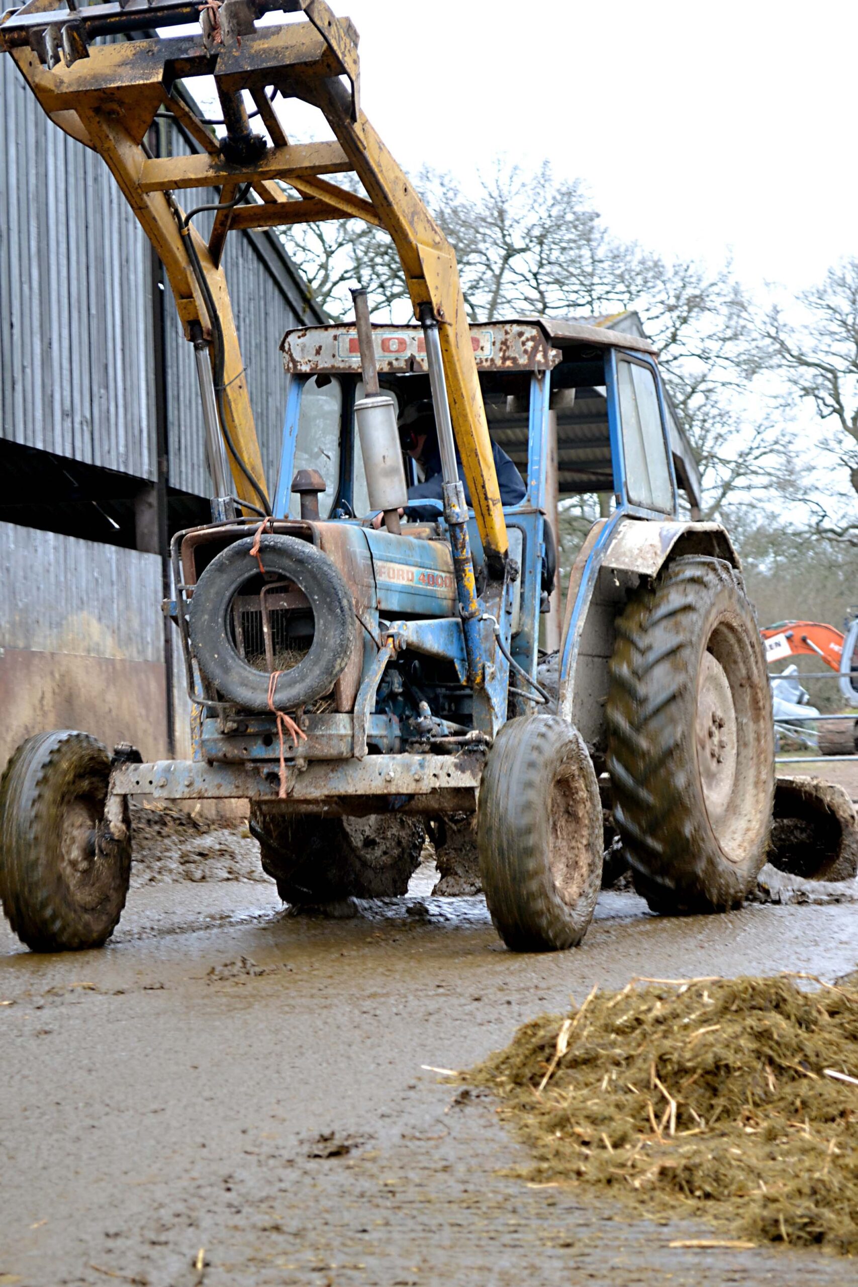 Butler Farms | Turkeys, Self Storage, Hay Sales